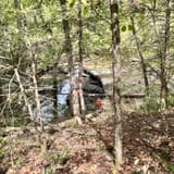 Window Cliffs Trail, Tennessee - 1,634 Reviews, Map | AllTrails
