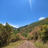 Armstrong Trail to Dawns Trail Loop, Utah - 3,305 Reviews, Map | AllTrails