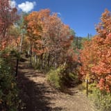 Armstrong Trail to Dawns Trail Loop, Utah - 3,305 Reviews, Map | AllTrails