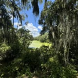 Balm Boyette Nature Preserve Trail, Florida - 281 Reviews, Map | AllTrails