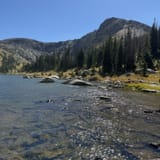 Timber Lake Trail, Colorado - 711 Reviews, Map | AllTrails
