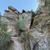 Moses Spring and Rim Trail Loop, California - 3,029 Reviews, Map ...