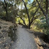 Moses Spring and Rim Trail Loop, California - 3,029 Reviews, Map ...
