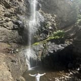 Treasure Falls Trail, Colorado - 1,529 Reviews, Map | AllTrails
