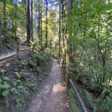 Council Crest via Marquam Trail, Oregon - 2,081 Reviews, Map | AllTrails