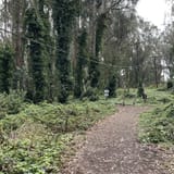 Presidio Promenade, Coastal Trail, and Park Loop, California - 227 ...