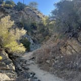 Panorama Loop, California - 3,072 Reviews, Map | AllTrails