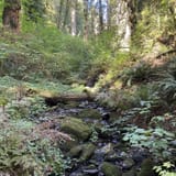 Tryon Creek Triple Bridge Loop, Oregon - 1,840 Reviews, Map | AllTrails