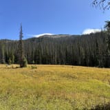 Timber Lake Trail, Colorado - 712 Reviews, Map | AllTrails
