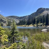 Timber Lake Trail, Colorado - 711 Reviews, Map | AllTrails
