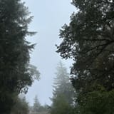 Fitton Green Natural Area Trail, Oregon - 381 Reviews, Map | AllTrails