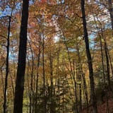 Rooster Comb Trail, New York - 1,420 Reviews, Map | AllTrails