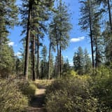 English Point Yellow Loop Trail, Idaho - 1,024 Reviews, Map | AllTrails