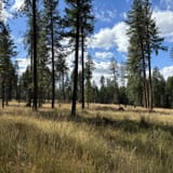 English Point Yellow Loop Trail, Idaho - 1,024 Reviews, Map | AllTrails