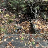 Faraway Mountain and Mount Roberts Loop, New Hampshire - 388 Reviews ...