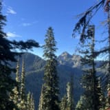 Johnson Ridge Trail, Washington - 291 Reviews, Map | AllTrails