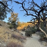 Warren Peak via Black Rock Trail and Panorama Loop, California - 1,096 ...