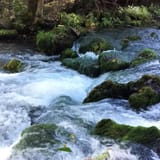 Alley Spring Overlook Trail, Missouri - 341 Reviews, Map | AllTrails