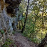 Alley Spring Overlook Trail, Missouri - 341 Reviews, Map | AllTrails
