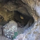 Alley Spring Overlook Trail, Missouri - 341 Reviews, Map | AllTrails