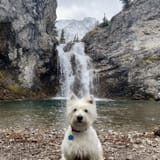 Edworthy Falls via Elbow Lake Trail, Alberta, Canada - 2,325 Reviews ...