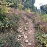 Western Ridge Trail to Overlook, New York - 856 Reviews, Map | AllTrails