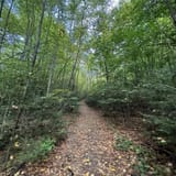 Western Ridge Trail to Overlook, New York - 852 Reviews, Map | AllTrails