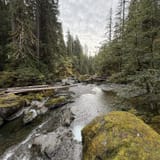Staircase Rapids Loop, Washington - 3,210 Reviews, Map | AllTrails
