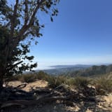 Montecito Peak Trail, California - 1,116 Reviews, Map | AllTrails