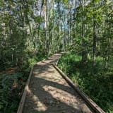Daubenmire Trail, Florida - 693 Reviews, Map | AllTrails