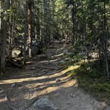 Spruce Creek Loop, Colorado - 1,975 Reviews, Map | AllTrails