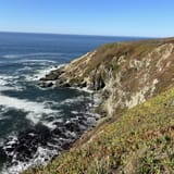 Bodega Head Trail, California - 2,156 Reviews, Map | AllTrails