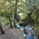 Comet Falls via Van Trump Trail, Washington - 2,929 Reviews, Map ...