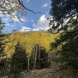 Inner Basin Trail, Arizona - 881 Reviews, Map | AllTrails