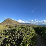Ka'ena Point Trail (from South), Oahu, Hawaii - 2,548 Reviews, Map ...