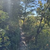 Riprap Trail , Virginia - 1,780 Reviews, Map | AllTrails