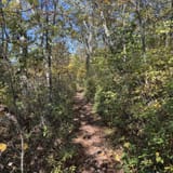 Riprap Trail , Virginia - 1,772 Reviews, Map | AllTrails