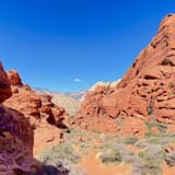 Guardian Angel Pass, Nevada - 1,944 Reviews, Map | AllTrails