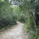 Big Talbot Island Timucuan Trail, Florida - 202 Reviews, Map | AllTrails