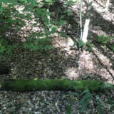 Salt Run, Ohio - 1,515 Reviews, Map | AllTrails