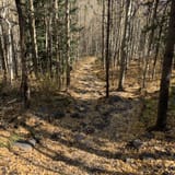 Ben Tyler Trail, Colorado - 722 Reviews, Map | AllTrails