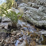 Banhoek Conservancy Waterfall Hike, Western Cape, South Africa - 147 ...