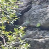 Banhoek Conservancy Waterfall Hike, Western Cape, South Africa - 147 ...