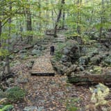 Monument Trail Loop, New Jersey - 2,195 Reviews, Map | AllTrails