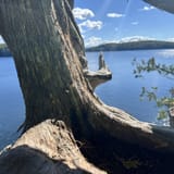Niquette Bay State Park, Vermont - 886 Reviews, Map | AllTrails