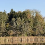 Sprague Brook Park Trail, New York - 1,461 Reviews, Map | AllTrails