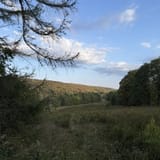 Sprague Brook Park Trail, New York - 1,461 Reviews, Map | AllTrails