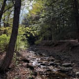 Sprague Brook Park Trail, New York - 1,461 Reviews, Map | AllTrails