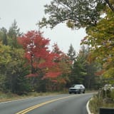 Cadillac Summit Loop Trail, Maine - 2,916 Reviews, Map | AllTrails