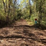 French Creek Trail, Pennsylvania - 1,035 Reviews, Map | AllTrails